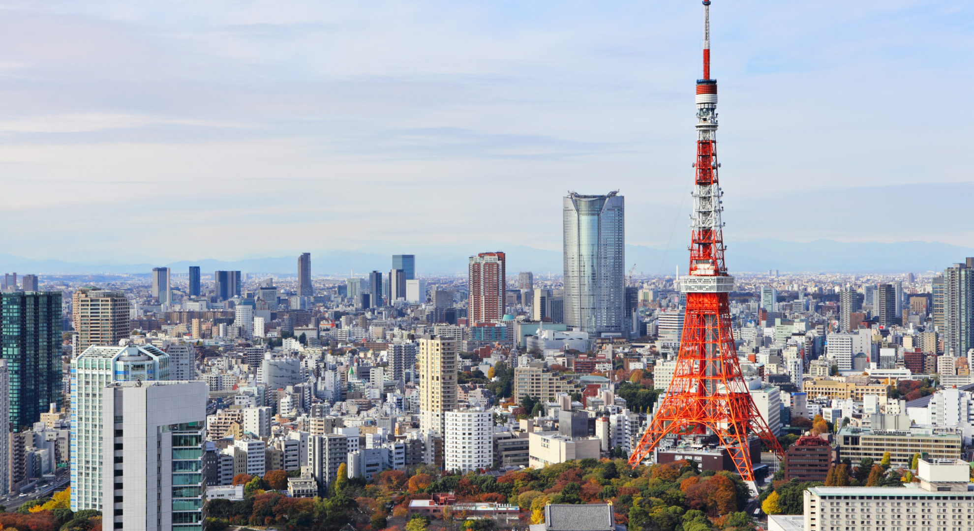 株式会社HARUYOSHI